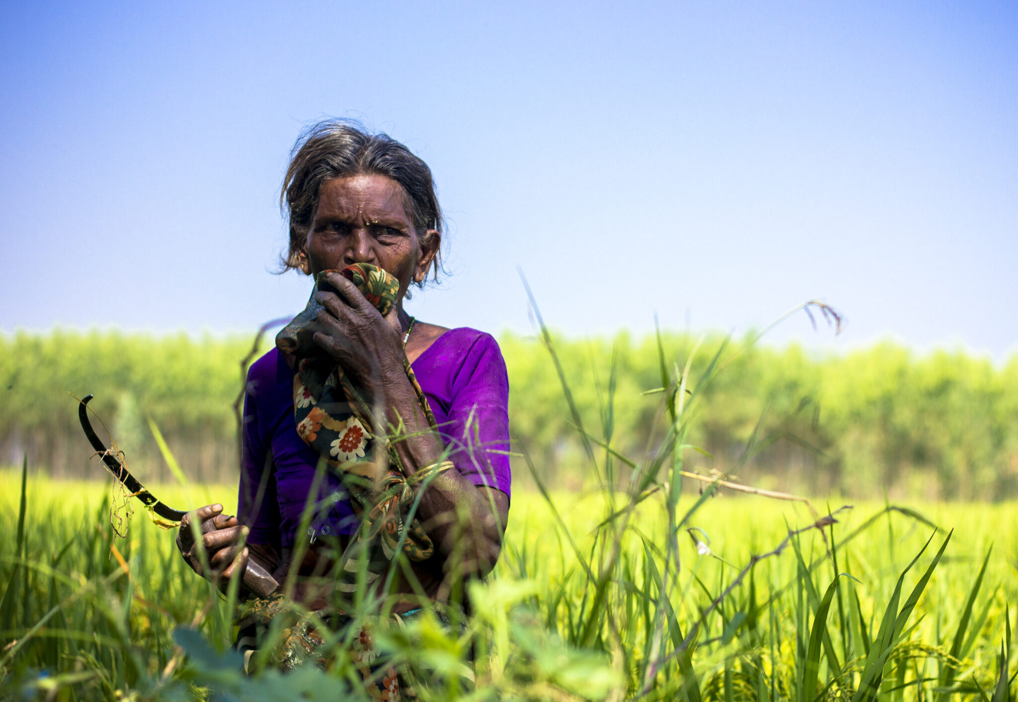 Visual Aids - AssureInclu Consulting Service